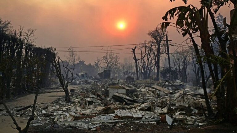 Los devastadores incendios de Los Ángeles dejan ya 10 muertos - Newsweek Guatemala